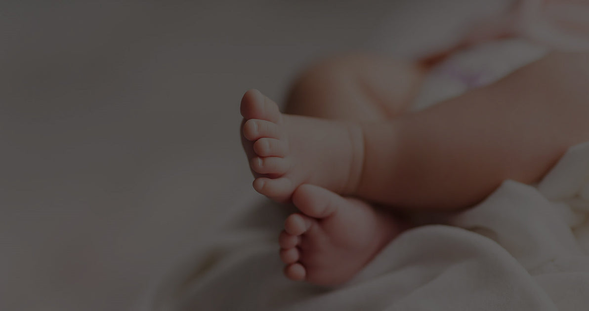 GentleHeel Heel Incision Lancets | Medical Supplies | Atris Australia