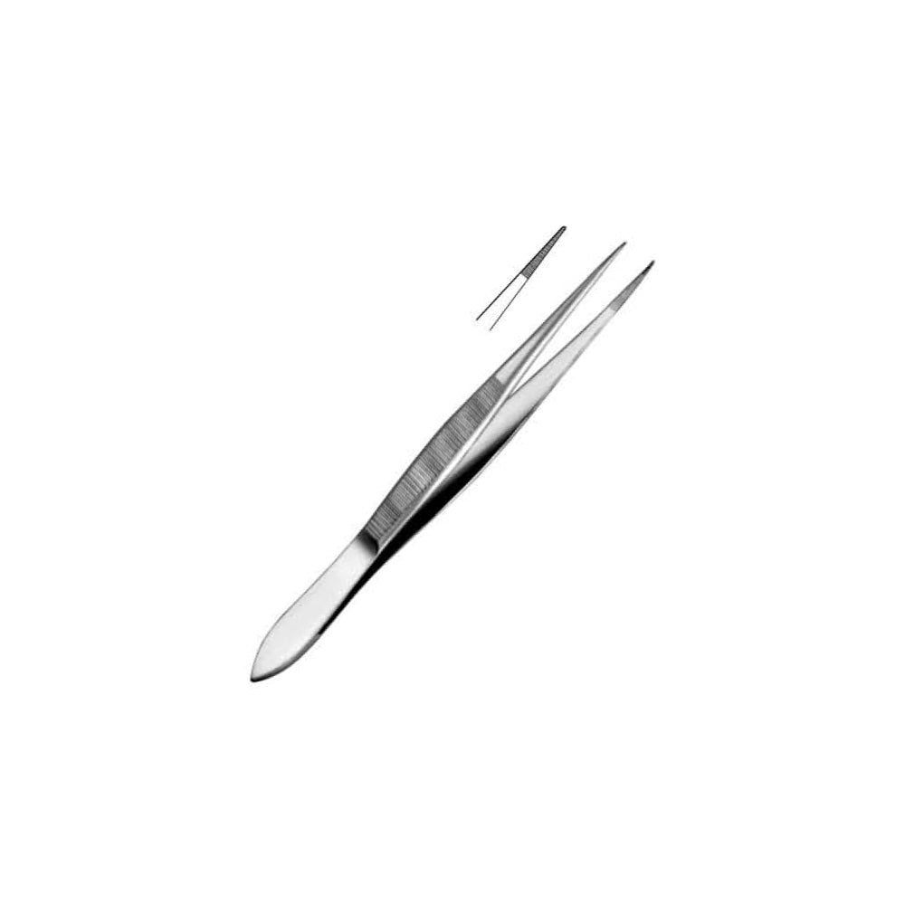 Dissecting Forceps - Straight, Serrated – Atris Australia